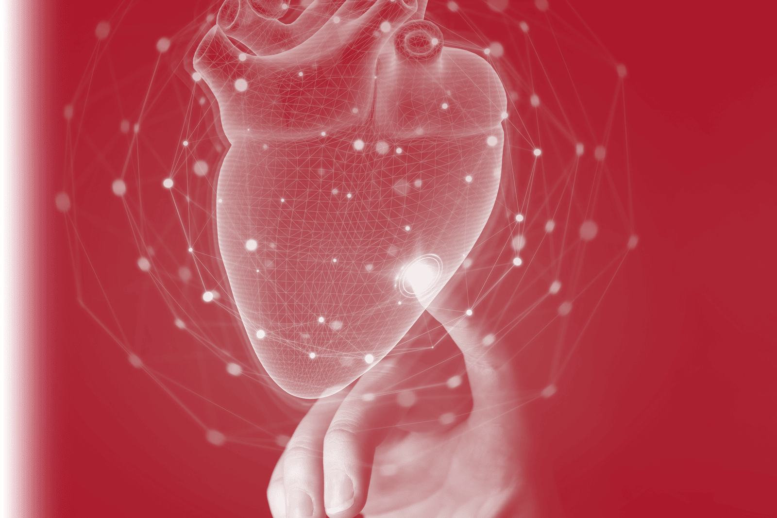 Products | Medical & Surgical Devices | Vygon (UK) Ltd